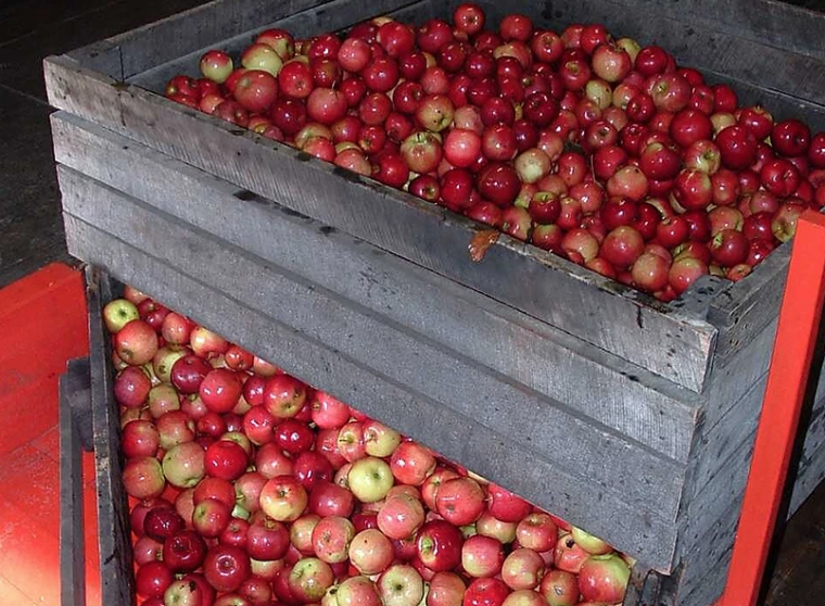 How Cider Is Made at Our Mill - Clinton Cider Mill